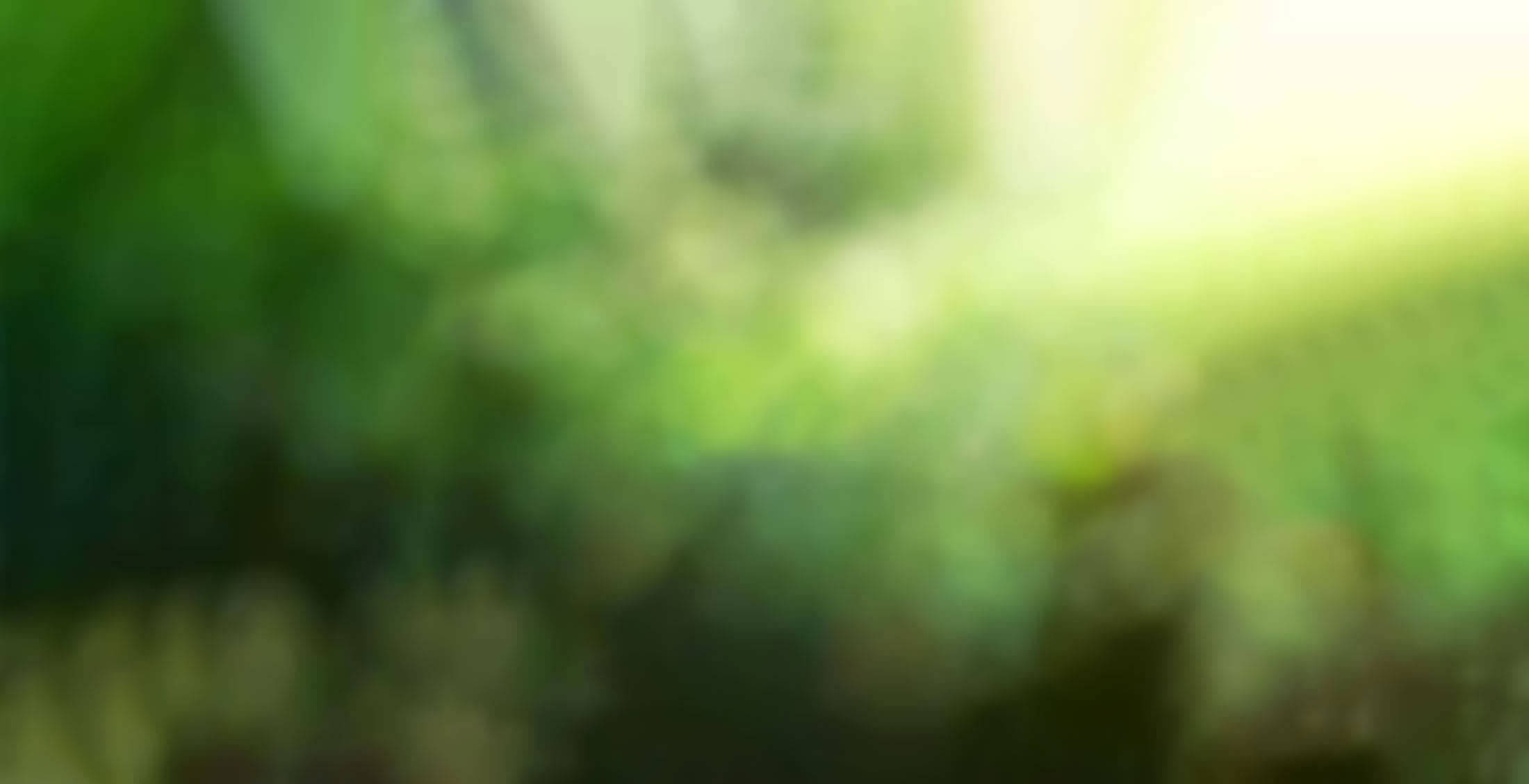 Impressum der TELESON Vertriebs GmbH – wir haben die Energie